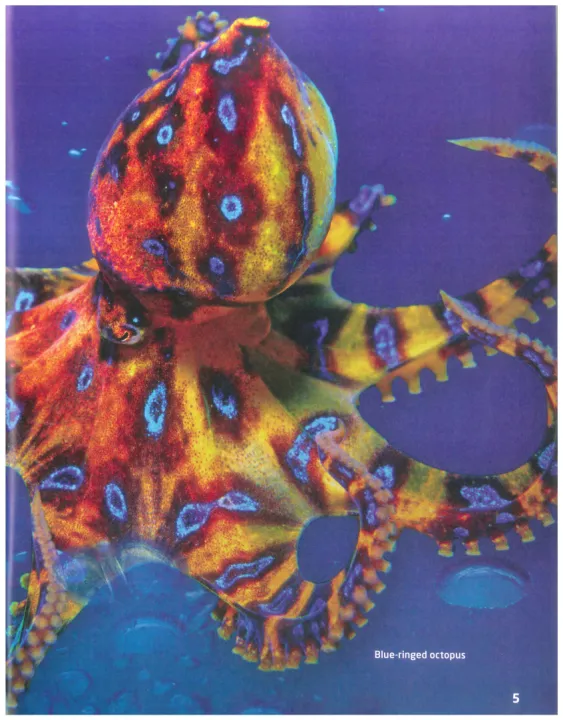 Explore our World 5 - Student book